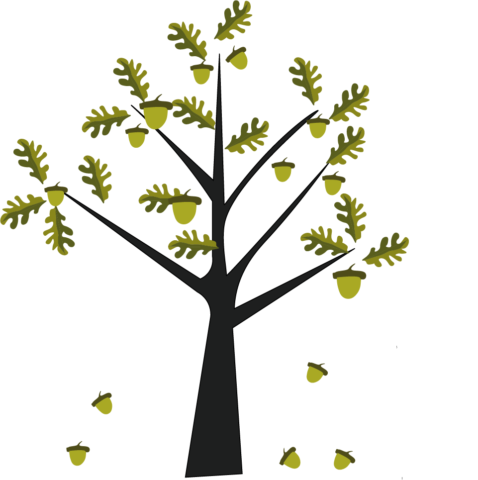 Dr. Scott J. Meiners, Professor